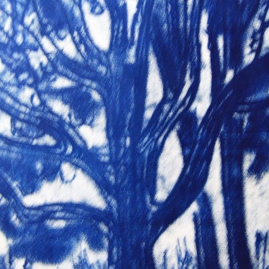 After-Hours Art-making featuring Urban Tree Care Presentation and Tree ...